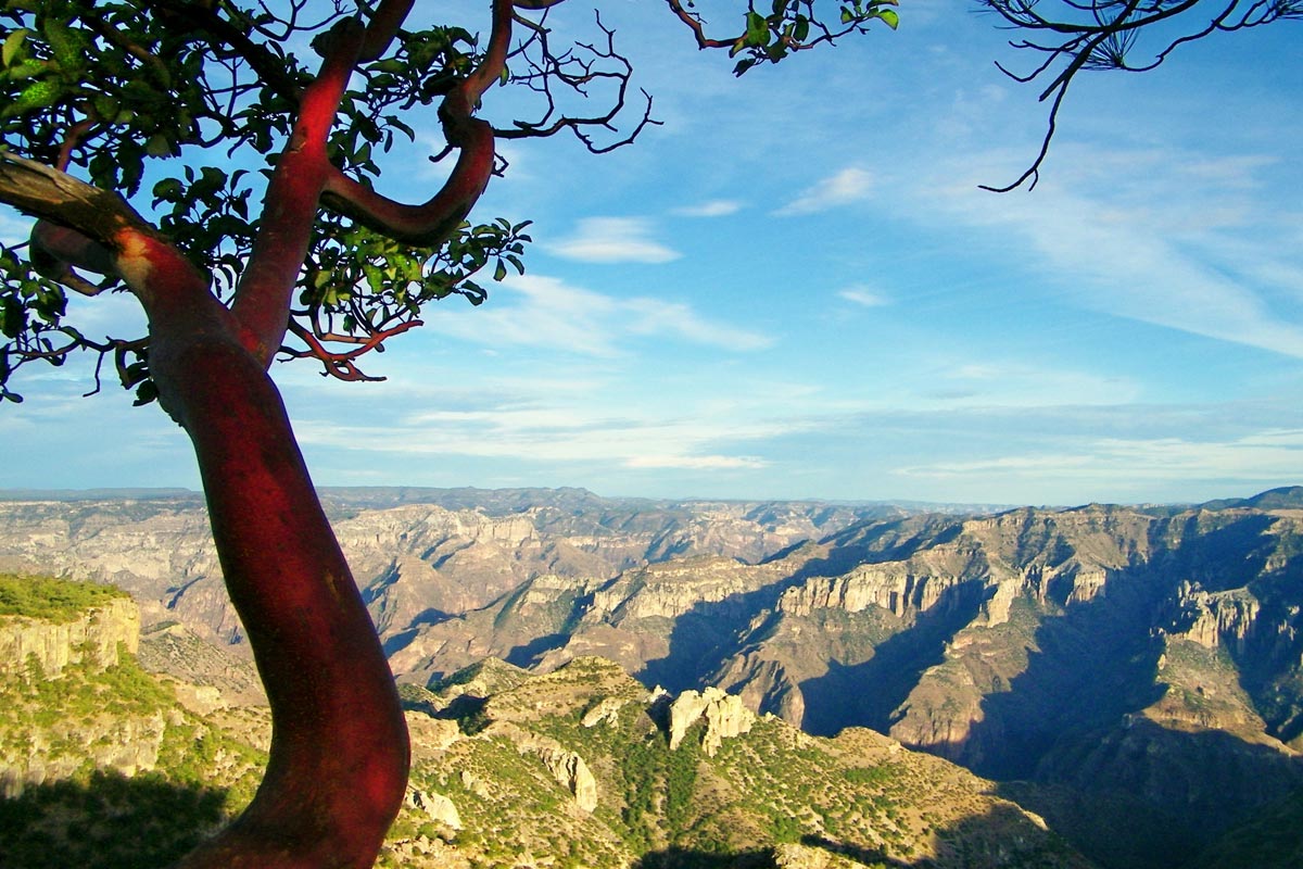 Día 5 - 6 DÍAS Primera Superior Tren Chepe Express Turista (martes y ...