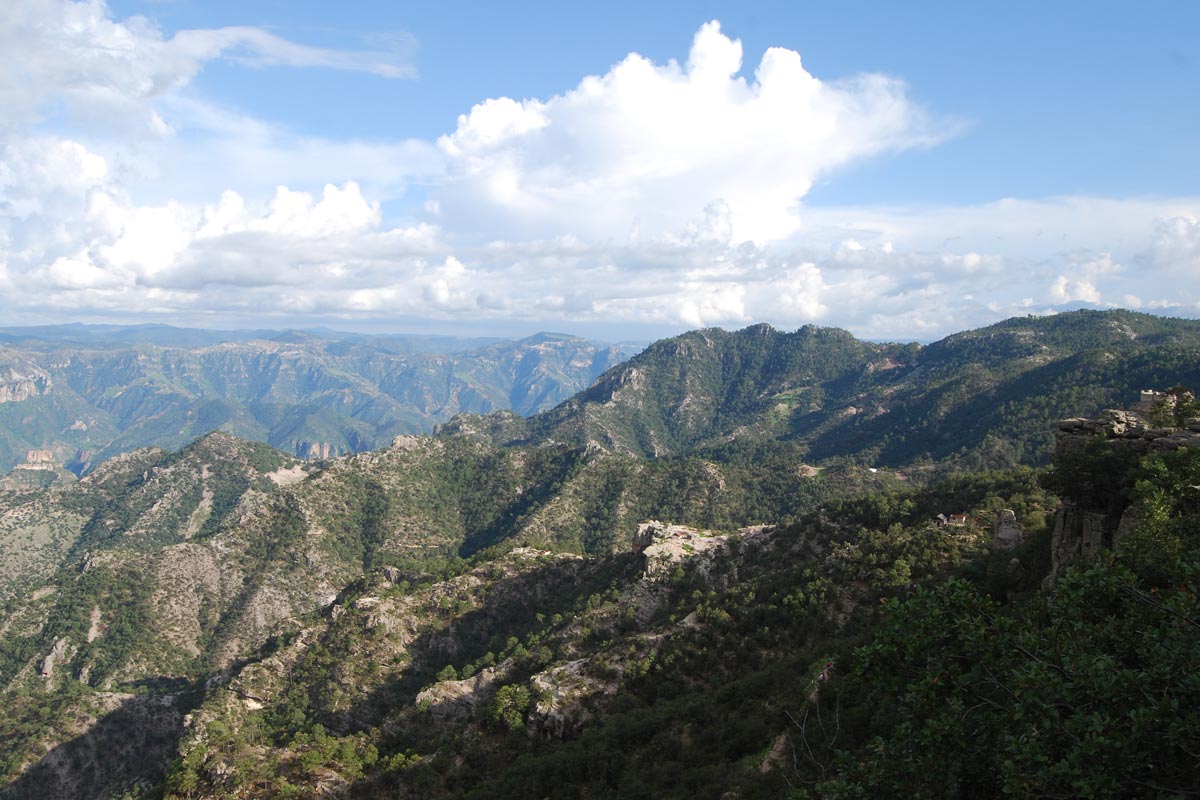 7 Days Superior (Tuesday and Thursday) Chepe Express First Class Train ...